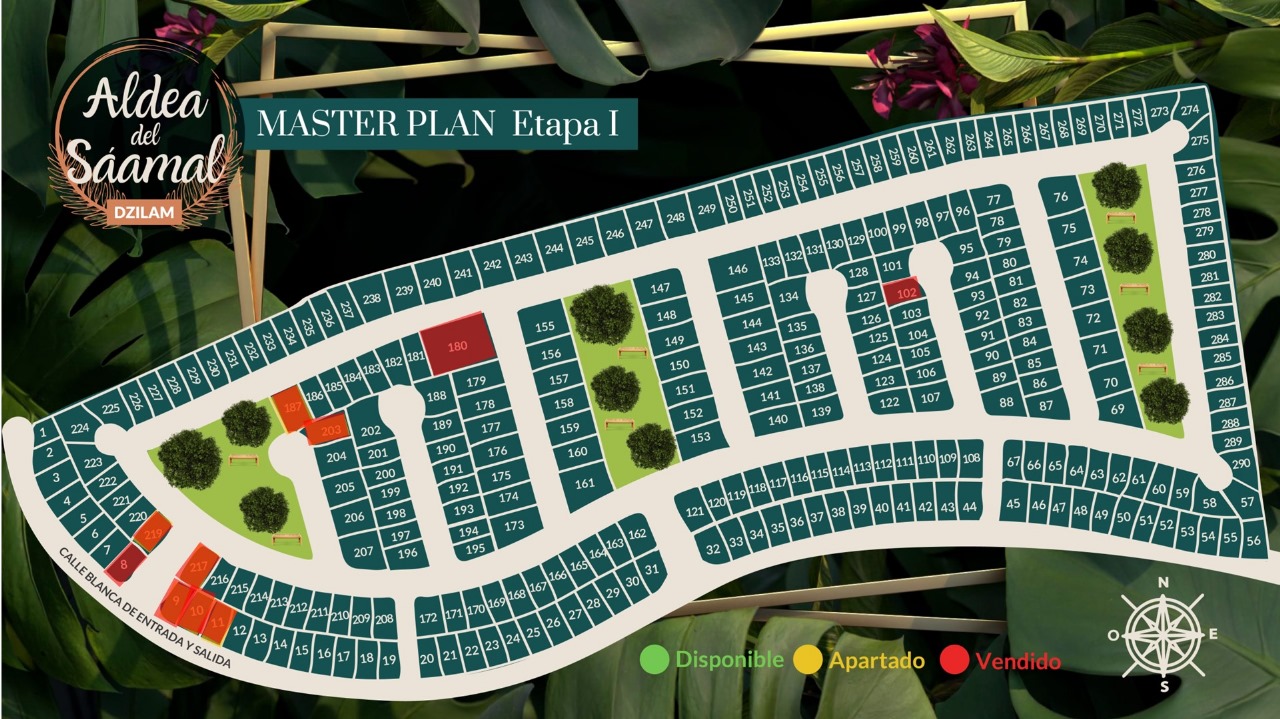 Desarrollo Aldea Saamal Dzilam